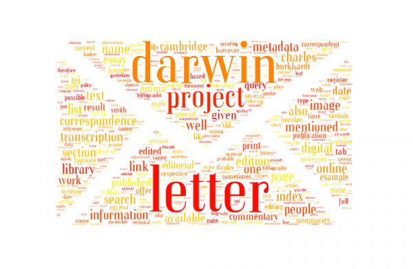 19th century – RIDE